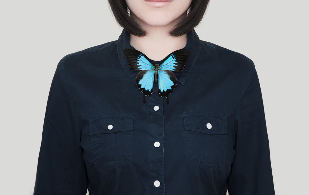 Finding the Perfect Color and Design for Your Collar – Bound by Dave